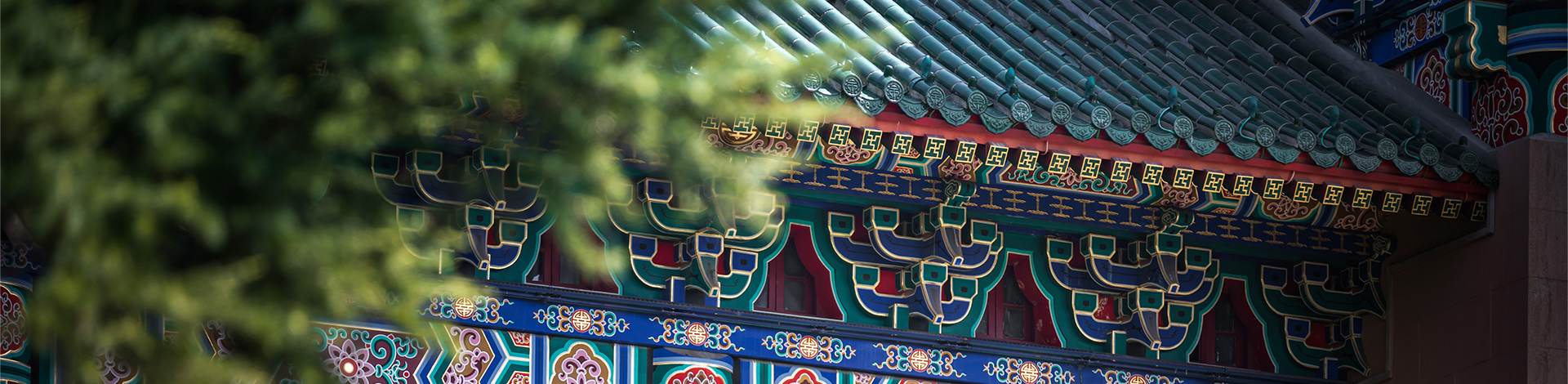 《运动与健康科学（英文）》稳居JCR（SCI、ESCI）体育学期刊世界第二-上海体育大学